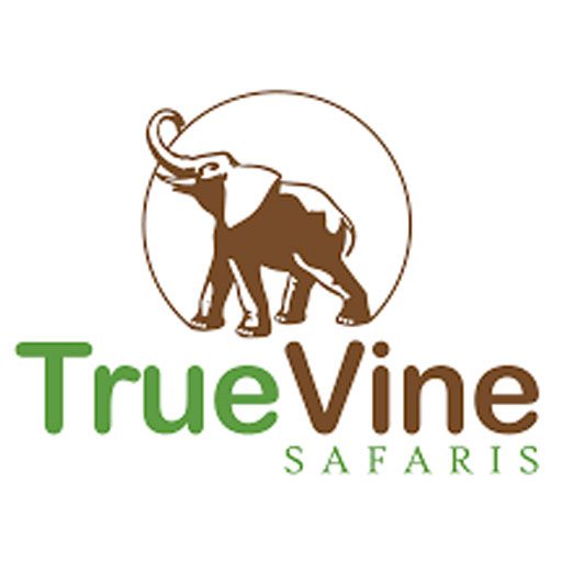 Frequently Asked Questions | True Vine Safari